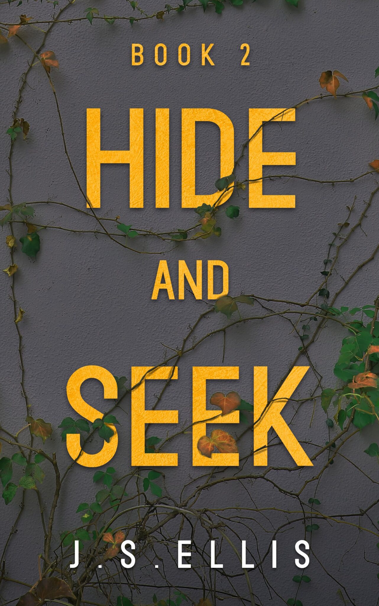 Recognizable series book cover design: Tips that work - GetCovers